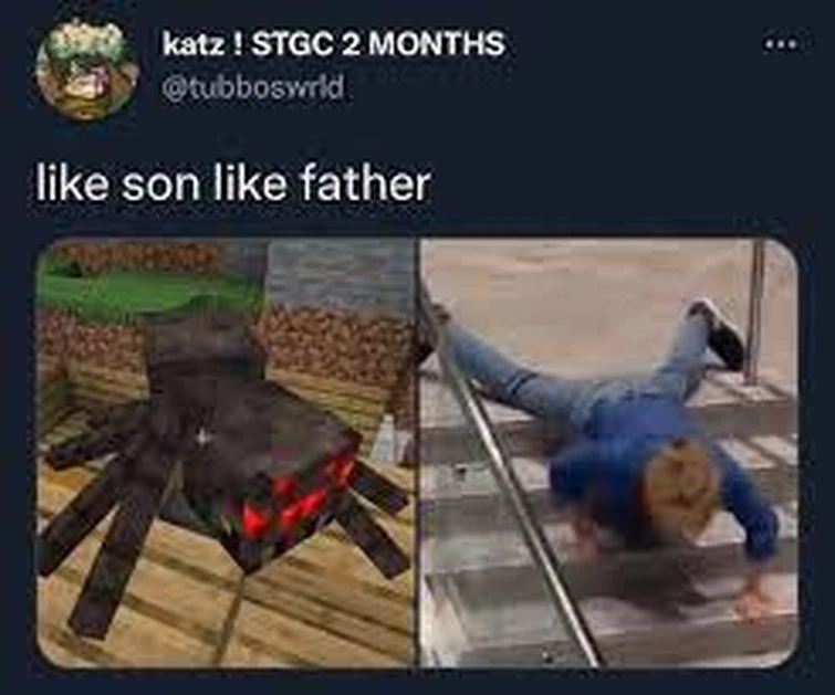 dsmp memes part 2 | Fandom