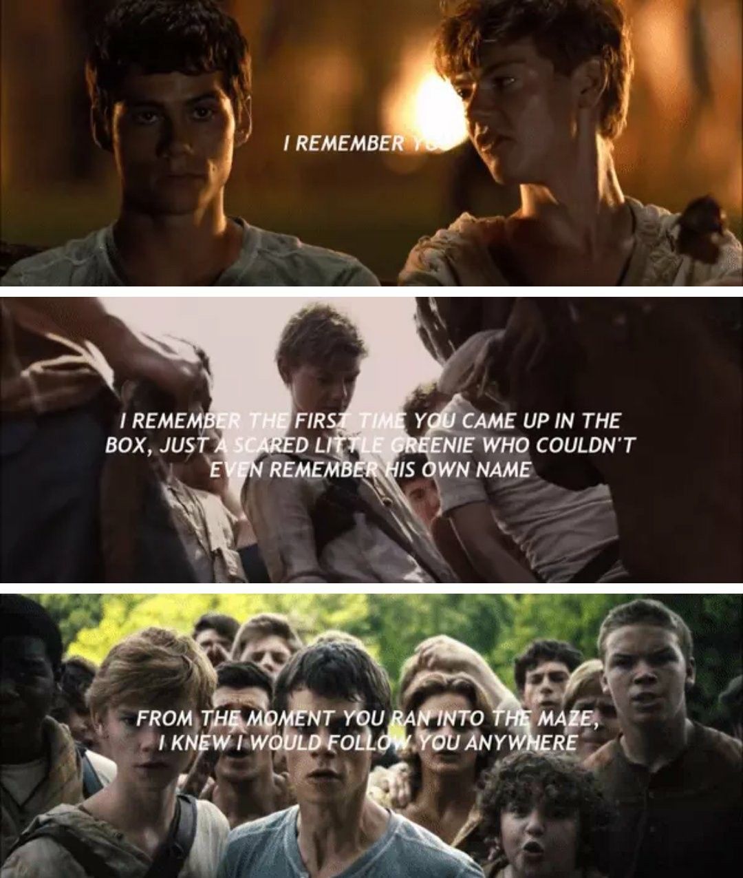 Newt´s Note | Fandom