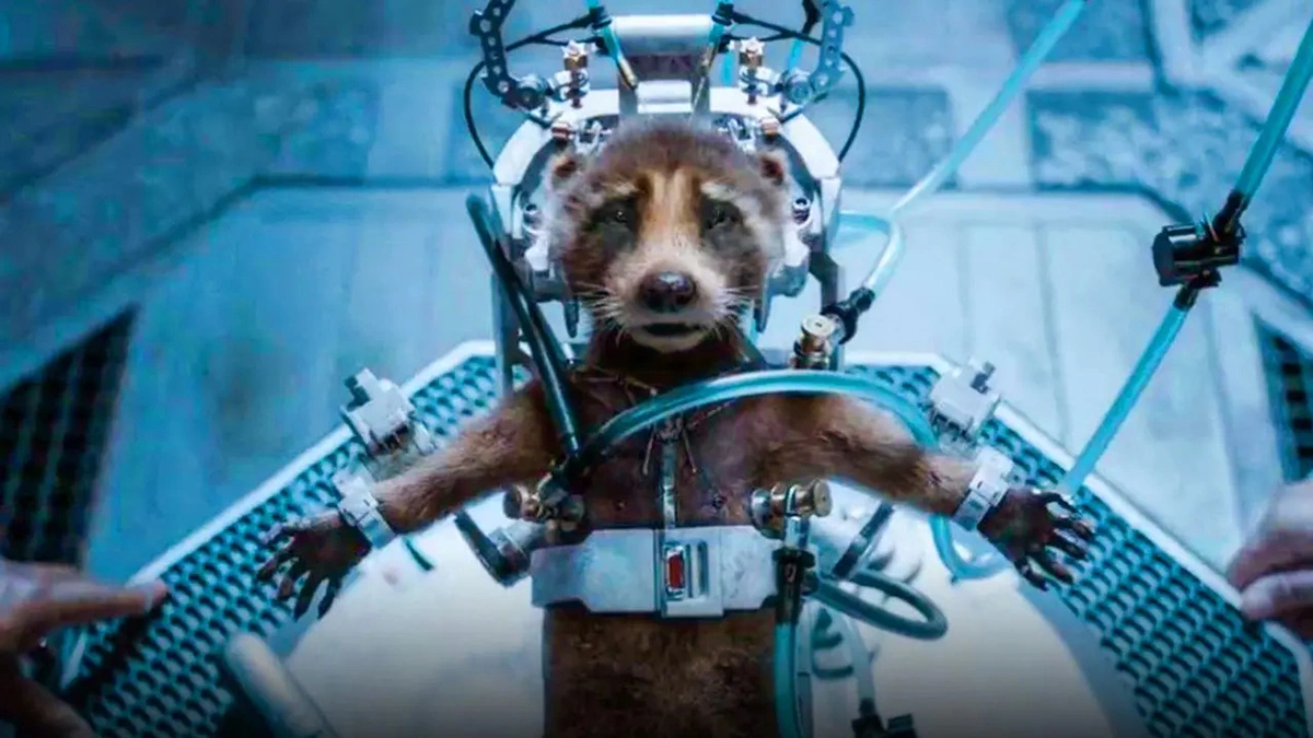 I figured out what's Rocket's backstory is gonna be in the MCU | Fandom