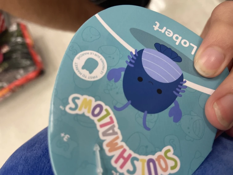 Discuss Everything About Squishmallows Wiki | Fandom