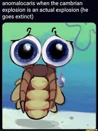 what are 3 memes on ur device | Fandom