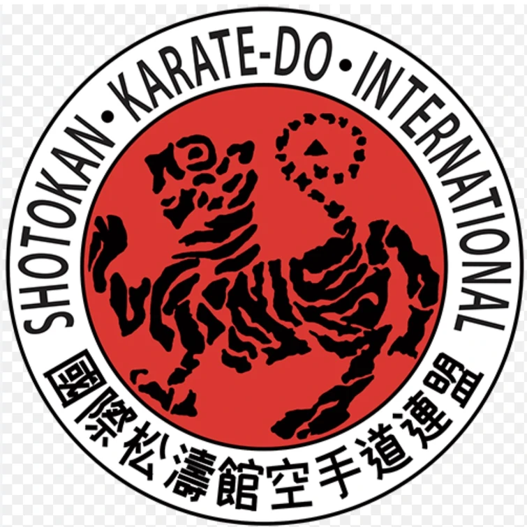 Discuss Everything About The Karate Kid Wiki | Fandom