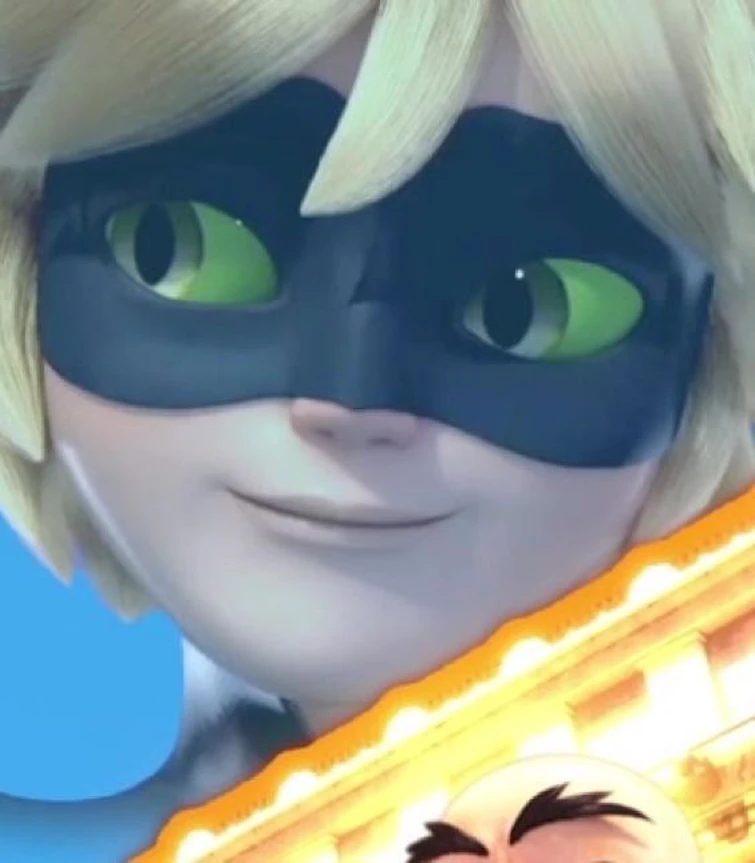 Chat noir smiling to brighten up your day | Fandom