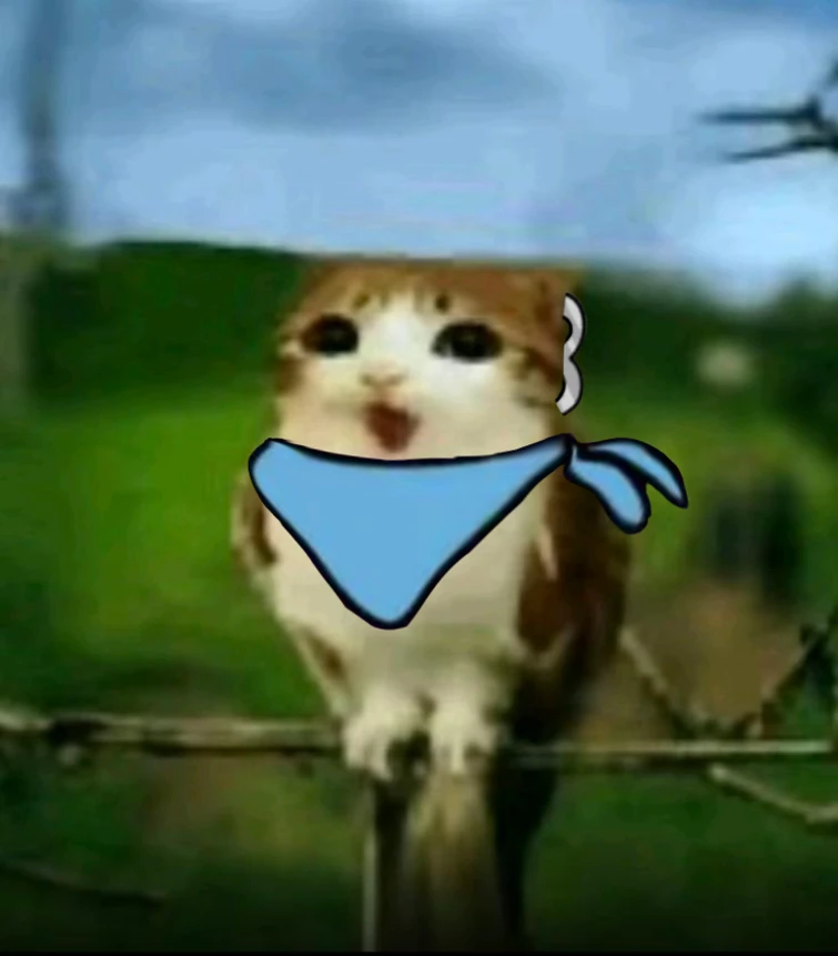 PFPS FOR... | Fandom