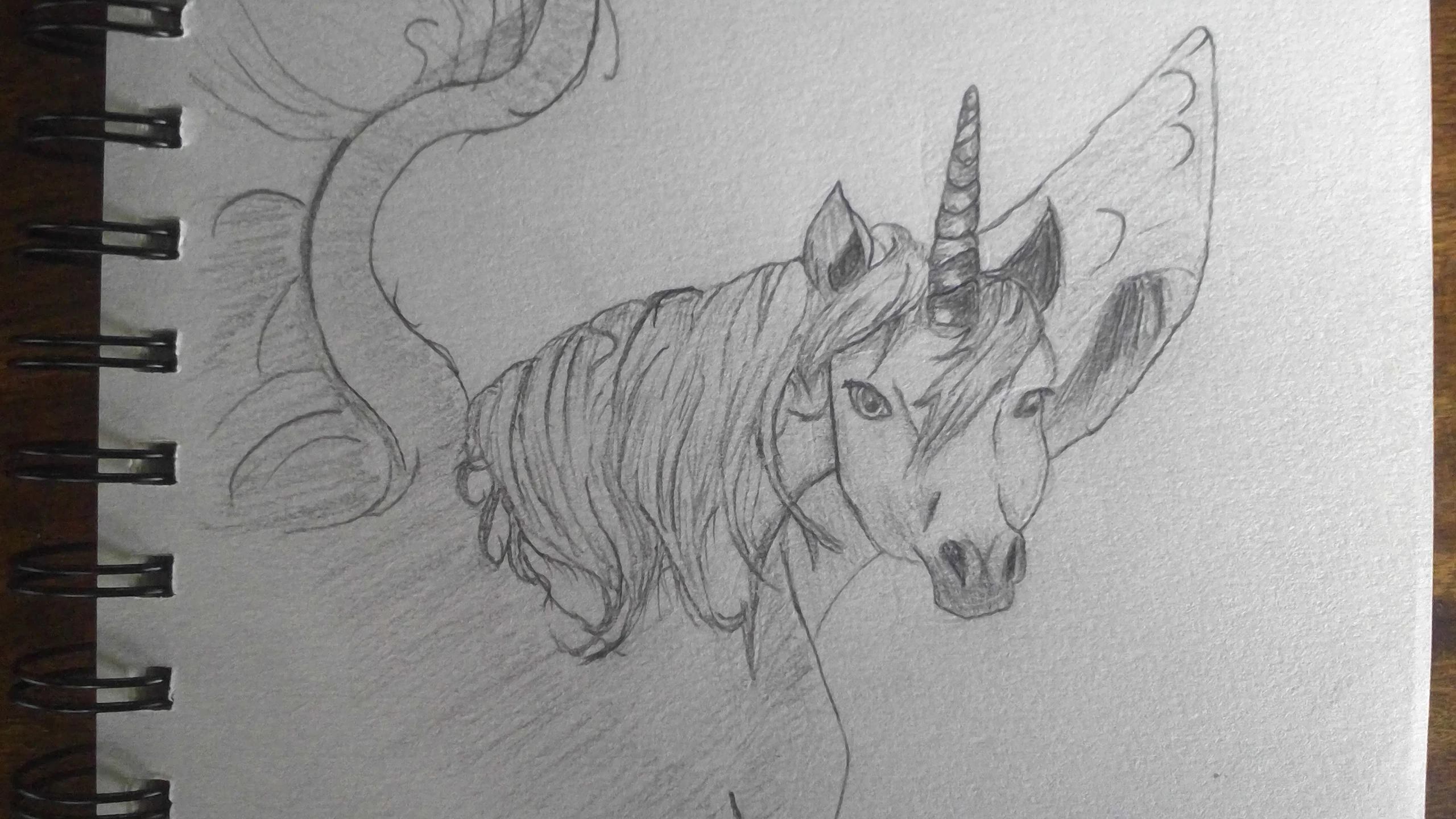 Sketch of an Alicorn | Fandom