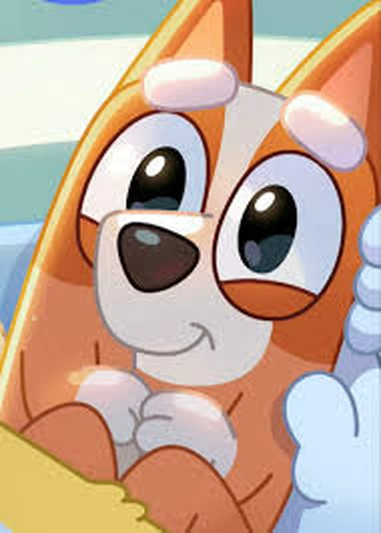 Discuss Everything About Bluey Wiki | Fandom