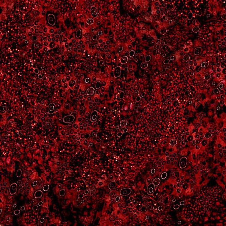 Discuss Everything About The Uncanny Incredible Wiki | Fandom