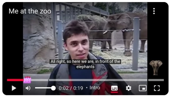 I found an easter egg | Fandom