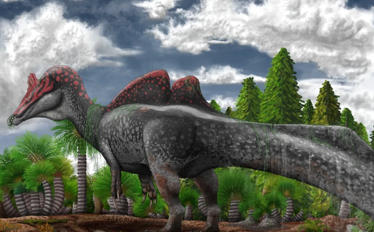 Largest Species's of Spinosaurids, Ranked from Biggest to Smallest (One ...