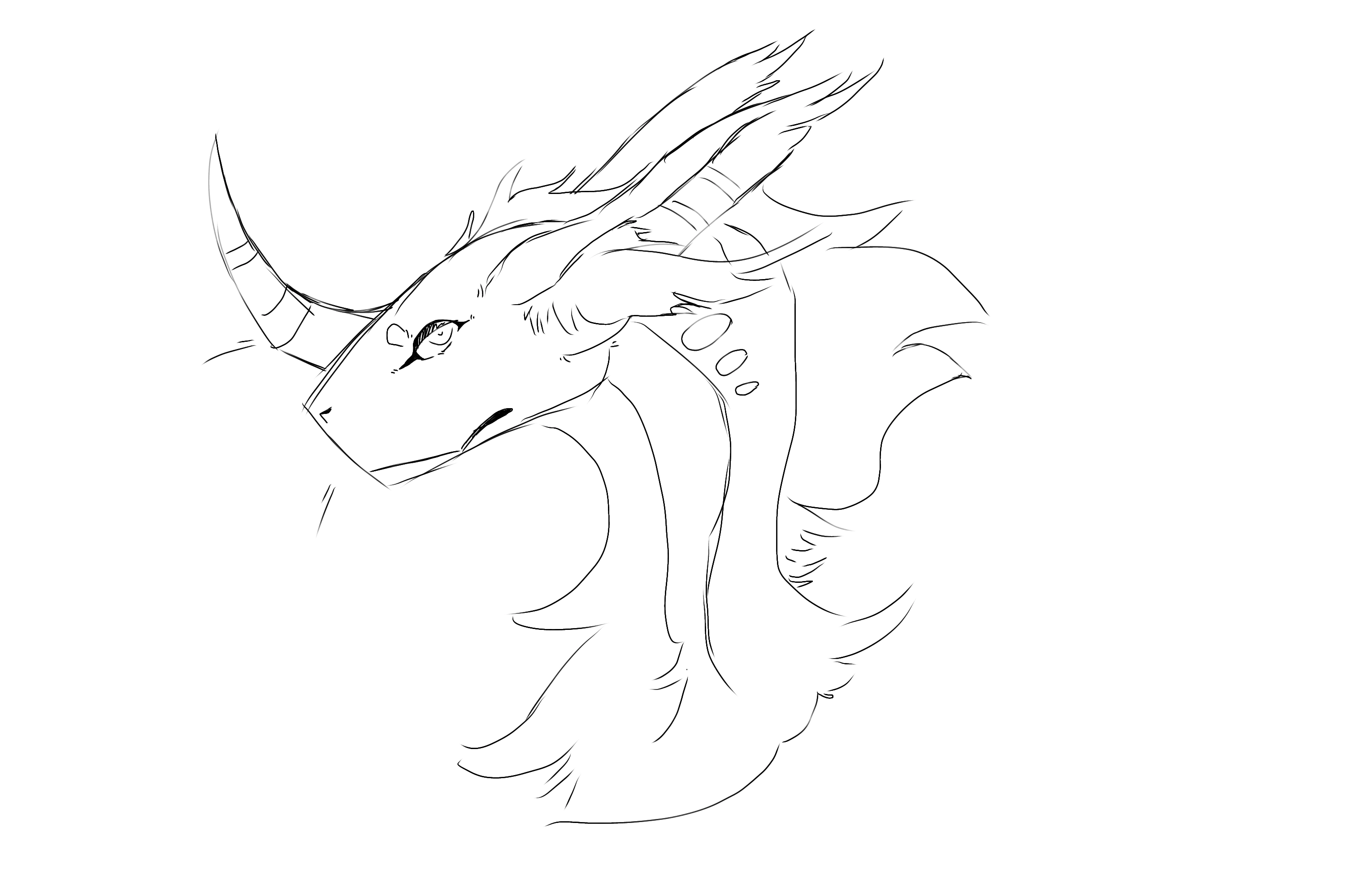 Drawing my old skyrix from 2020 | Fandom