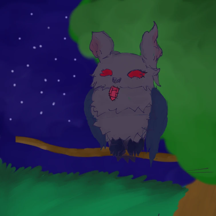 Meowl bat sampire :p | Fandom