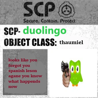 the great history of 05 pro_mtf (end) | Fandom