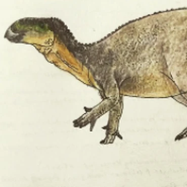 Discuss Everything About Dinopedia | Fandom