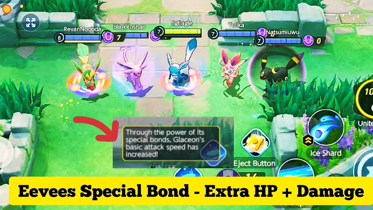 Best Eevee Friends Forever | Fandom