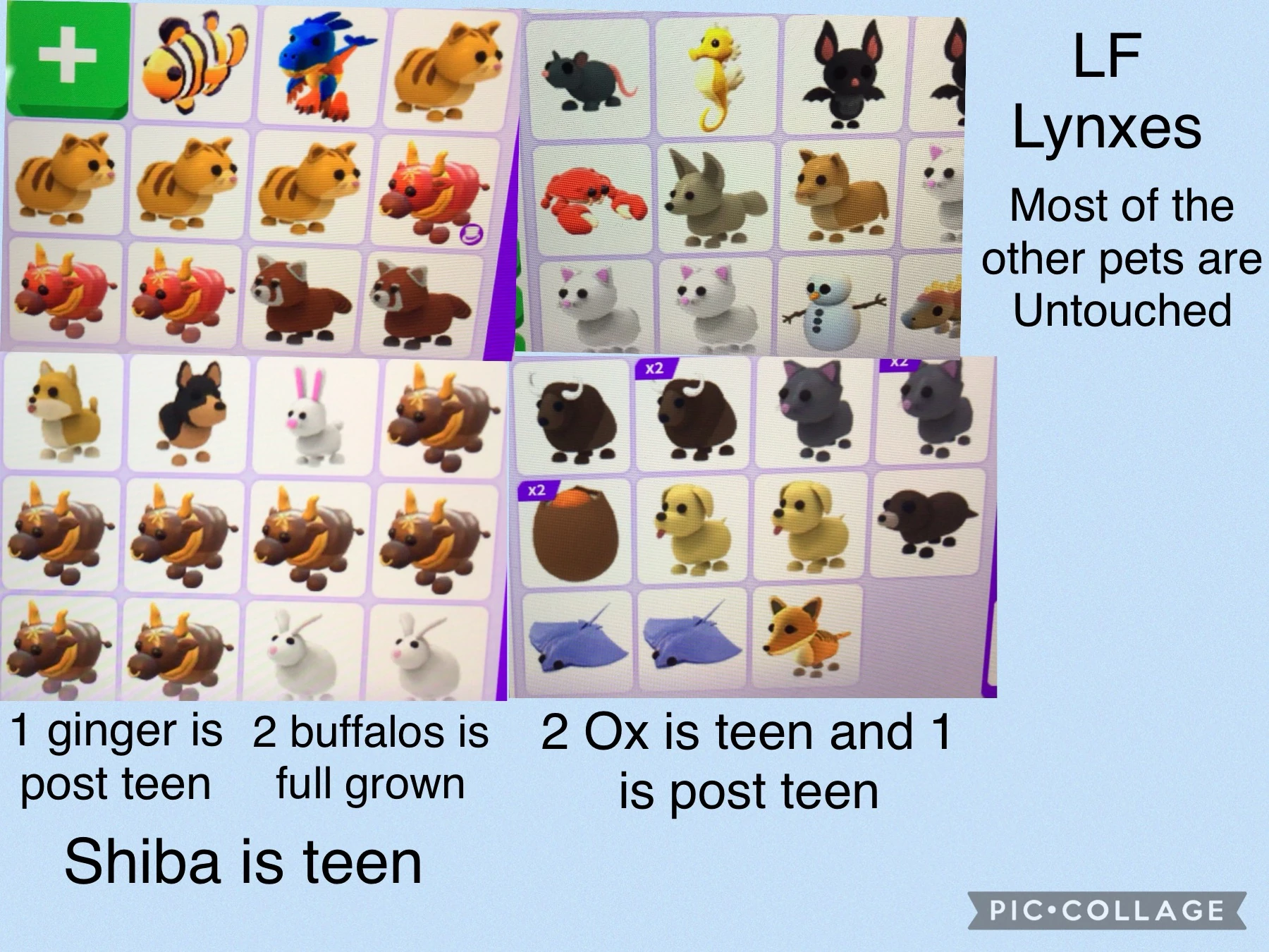 LF: Lynx(s) | Fandom