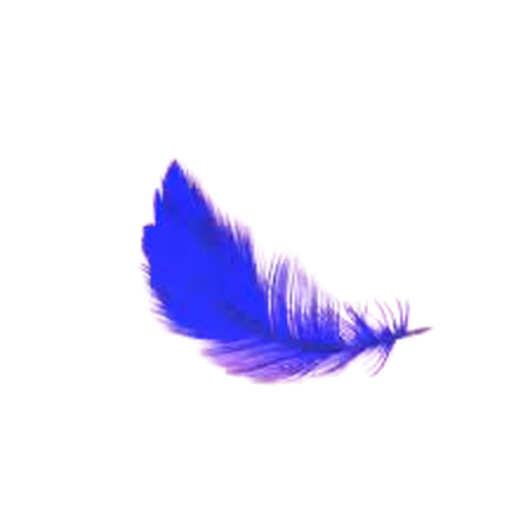 Miraculous Transparent Background | Fandom