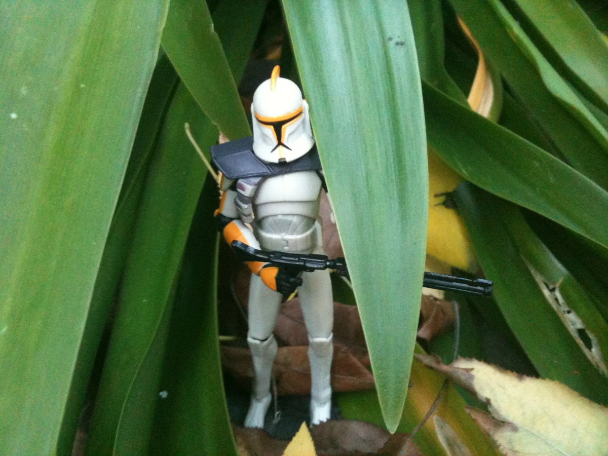 Kenju | Echo Location Wiki | Fandom