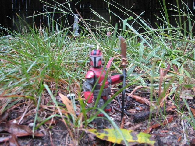 Mandex | Echo Location Wiki | Fandom