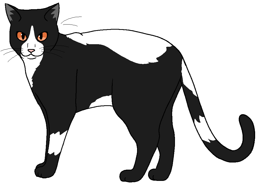 Tallstar | Moon and Echo's Wiki | Fandom