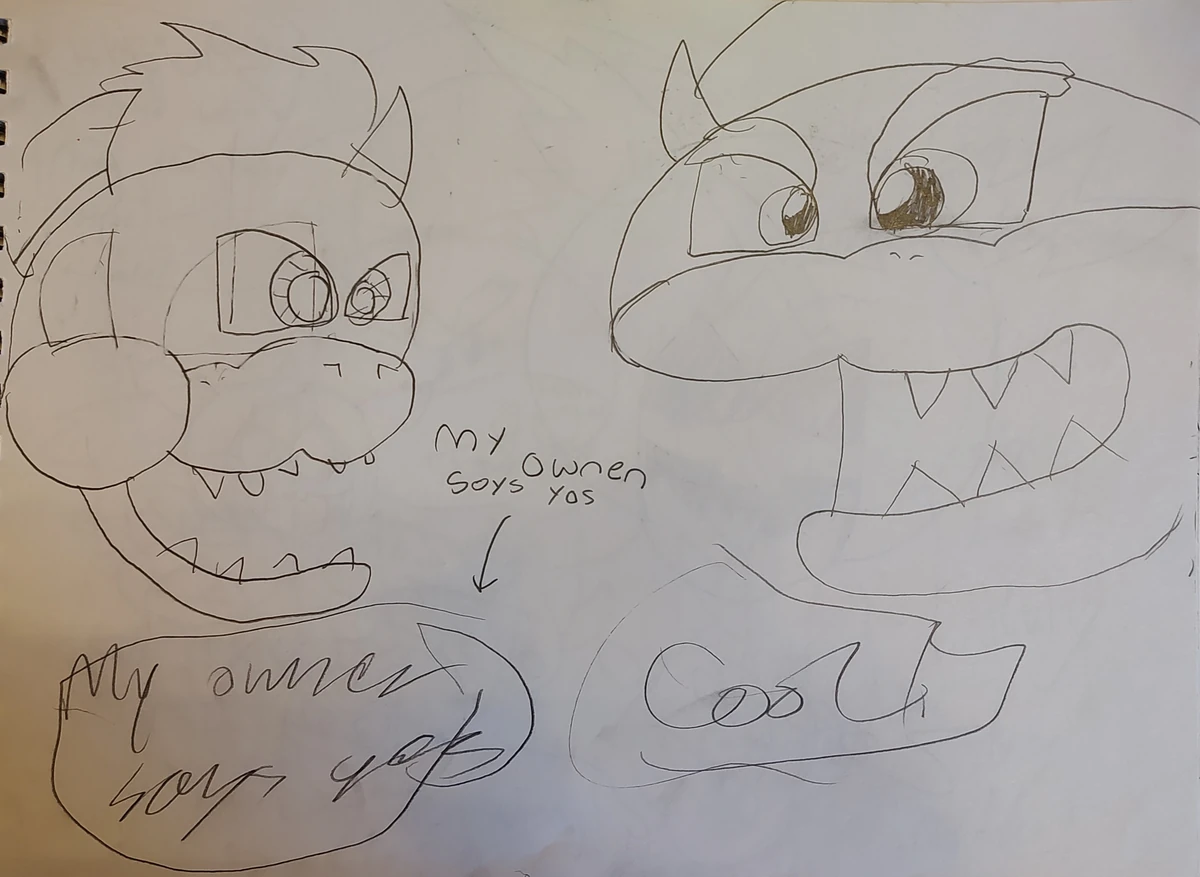 Robo Bowser | Moon and Echo's Wiki | Fandom