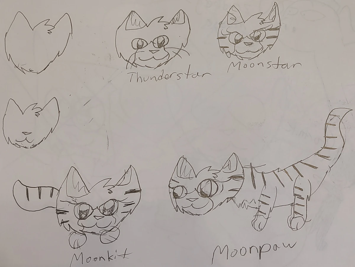 Thunderstar | Moon and Echo's Wiki | Fandom