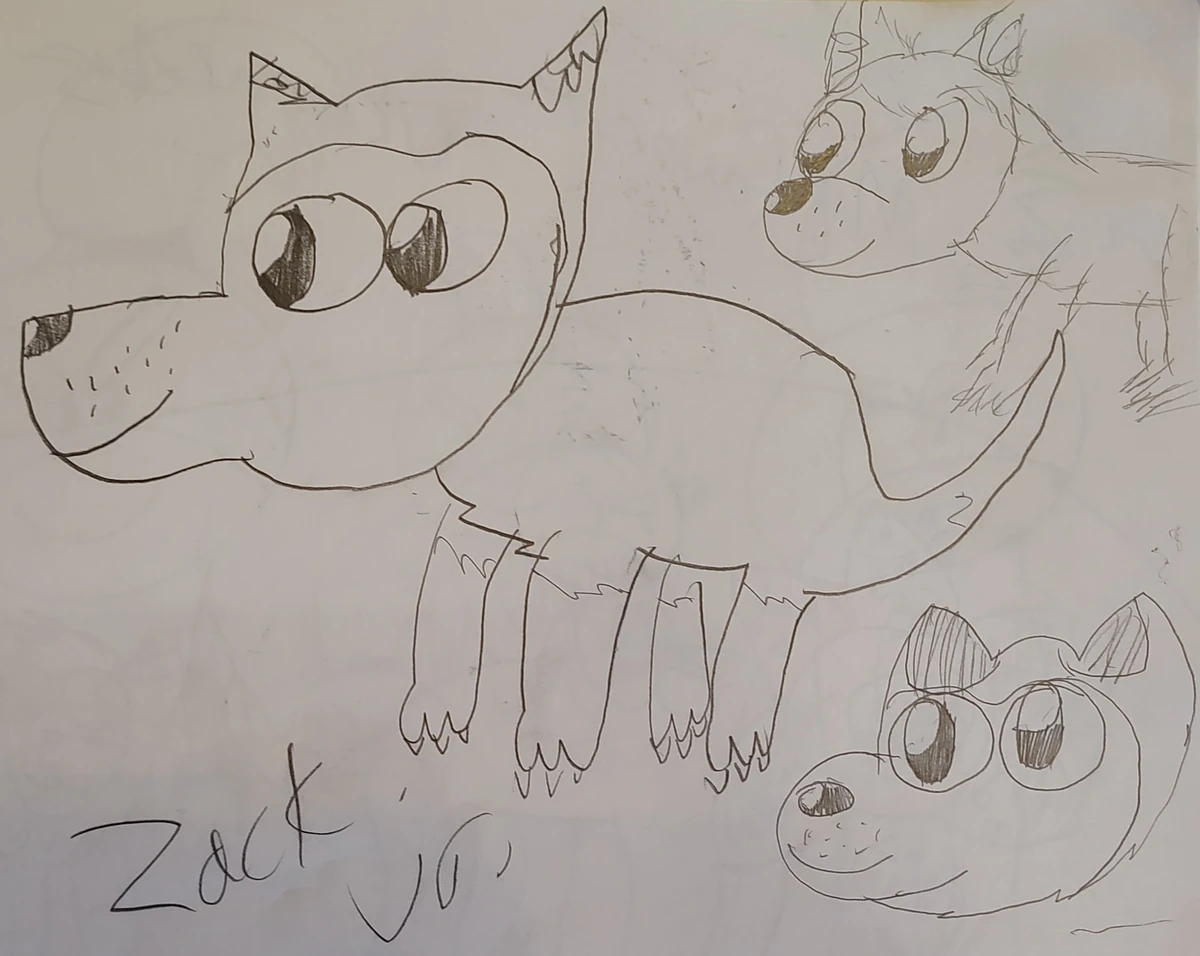 Zack Jr. | Moon and Echo's Wiki | Fandom