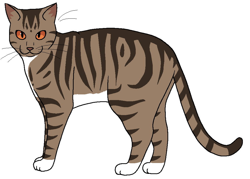 Leafpool | Moon and Echo's Wiki | Fandom