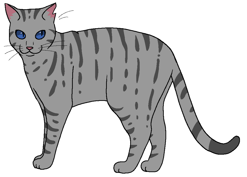 Ashfur | Moon and Echo's Wiki | Fandom