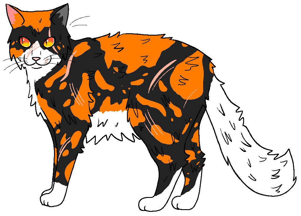 Mapleshade | Moon and Echo's Wiki | Fandom