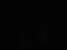 Paranormal Entities of Echo | Echo Project Wiki | Fandom