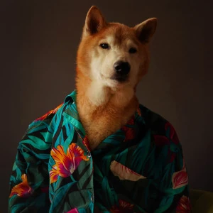 Majestic Doggo | Eclesiar Wiki | Fandom