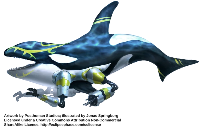 Neo-Orca 1e | Chuck's Eclipse Phase Wiki | Fandom