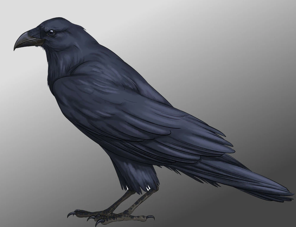 Néo-corvidé | Wiki Eclipse Savage | Fandom