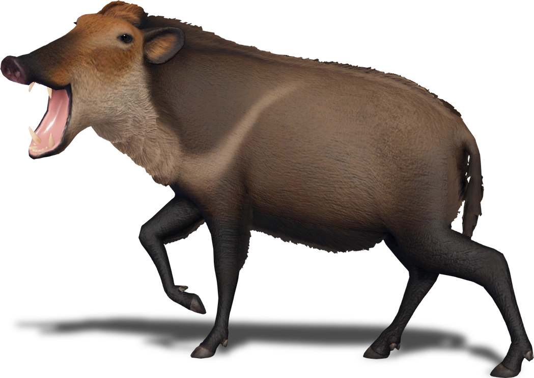 Flat-headed Peccary | Ecos: La Brea Wiki | Fandom