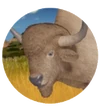 Ancient Bison | Ecos: La Brea Wiki | Fandom