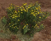 Flora | Ecos: La Brea Wiki | Fandom