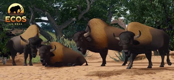 Ancient Bison | Ecos: La Brea Wiki | Fandom