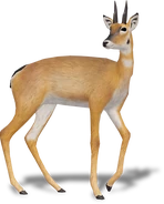 Dwarf Pronghorn | Ecos: La Brea Wiki | Fandom