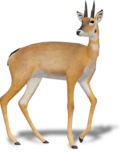 Dwarf Pronghorn | Ecos: La Brea Wiki | Fandom