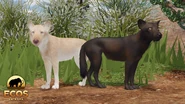 Dire Wolf | Ecos: La Brea Wiki | Fandom
