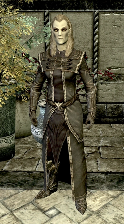 Elenwen | Ec's elder scrolls. Wiki | Fandom