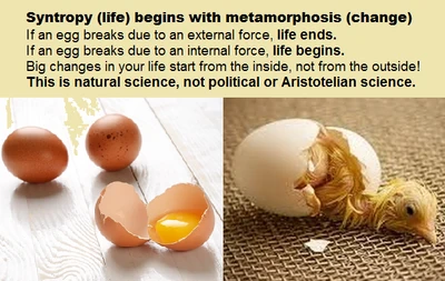 Ectobattery Hens in Hazmat Suits Organisation | Ectowiki Wiki | Fandom