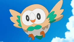 Ash's Rowlet | ECU Wiki | Fandom