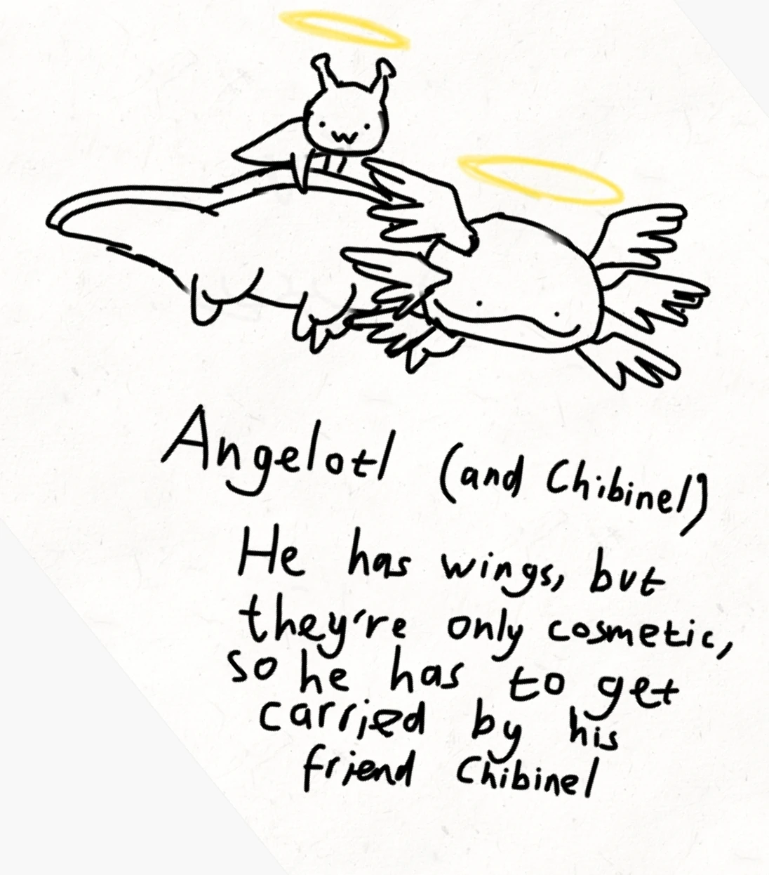 2nd drawing today, angel Axoloty :D | Fandom