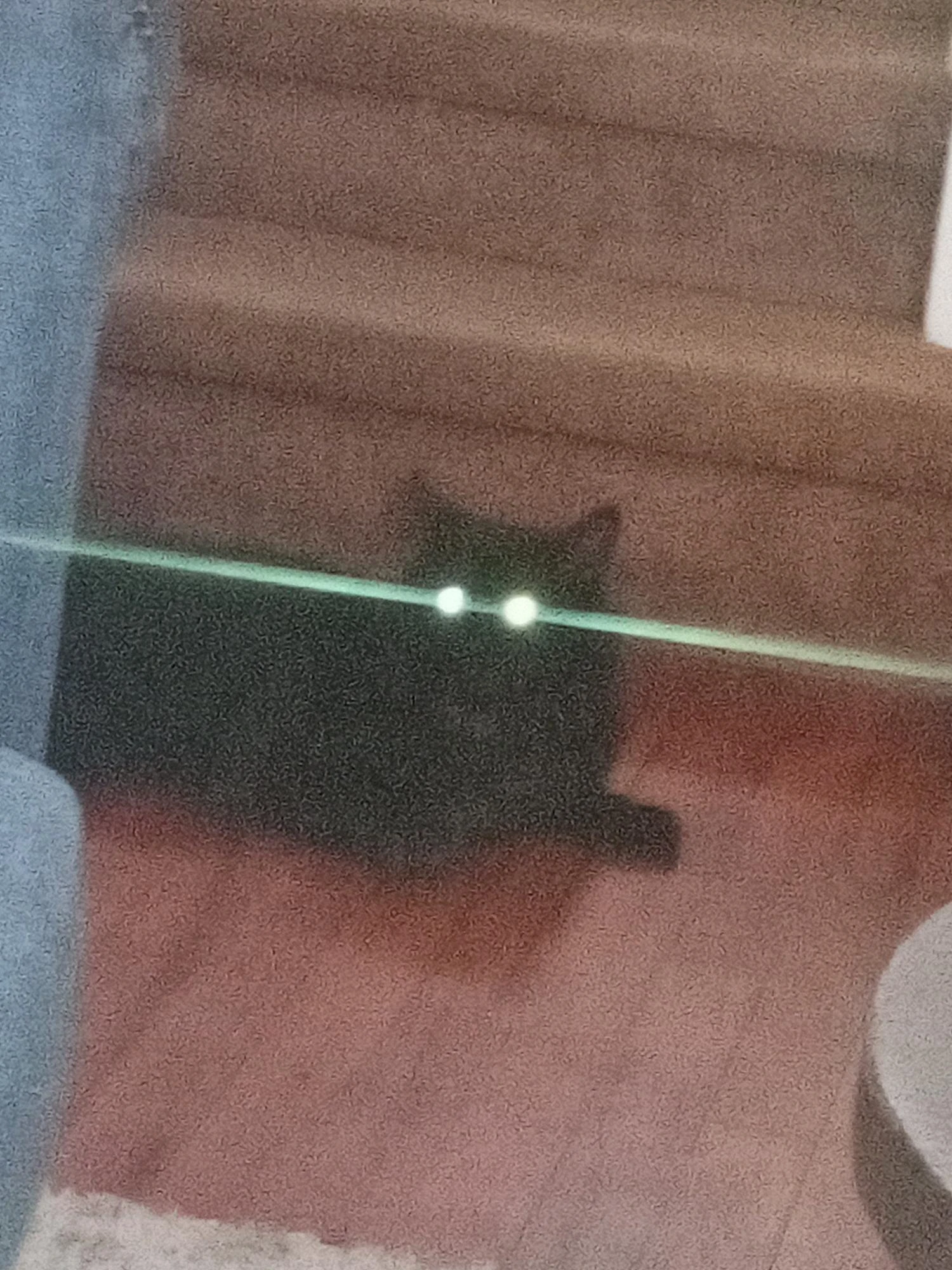 Heyoo I'm new here | Fandom