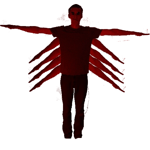 I Made a Null Phase 2 | Fandom