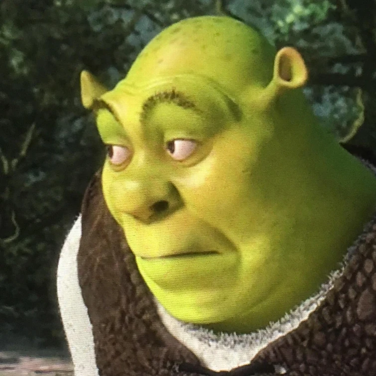 when-you-finish-reading-the-entire-shrek-script-fandom