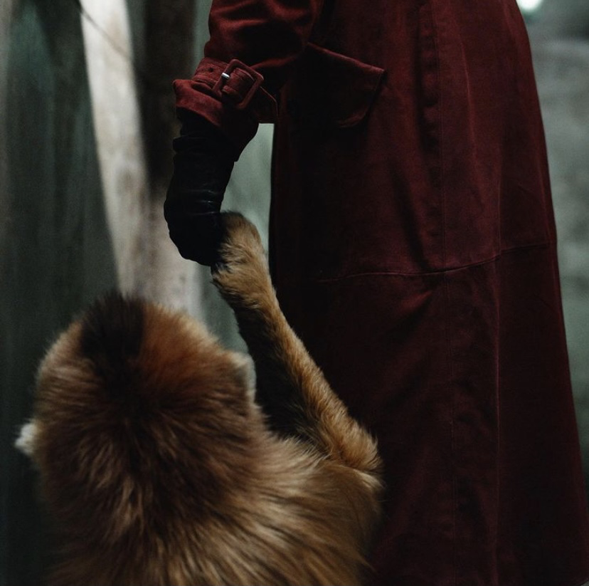 His Dark Materials fans 'break down in tears' as Mrs Coulter FINALLY ...