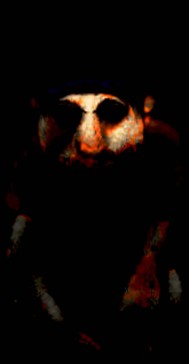 jerry jumpscare assets | Fandom