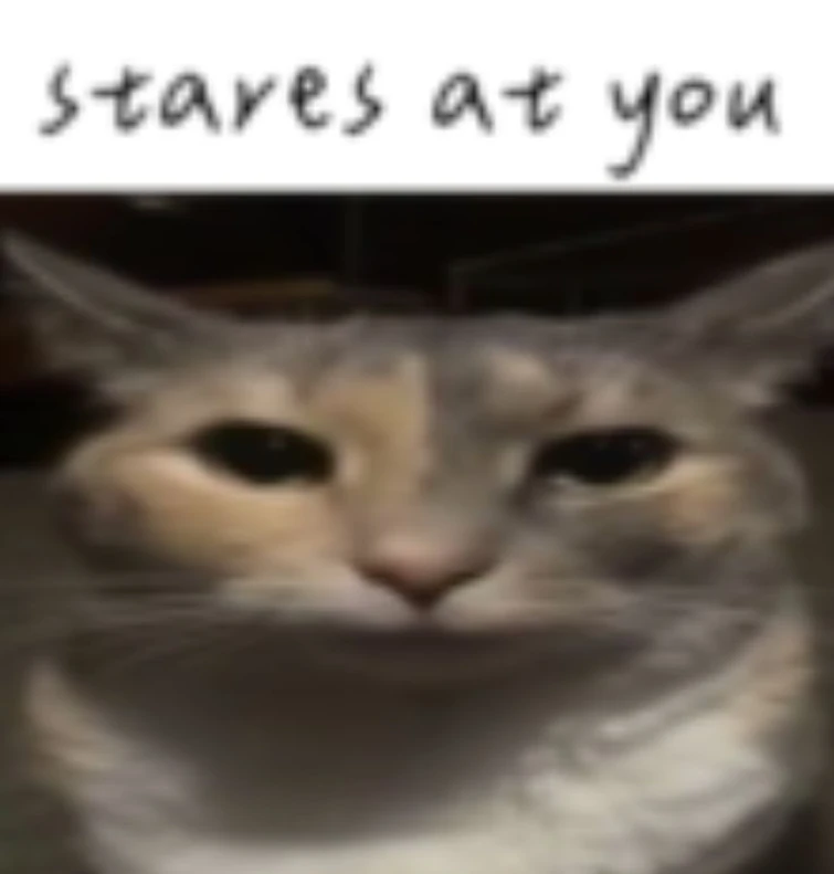 Paradise egg is now gone | Fandom